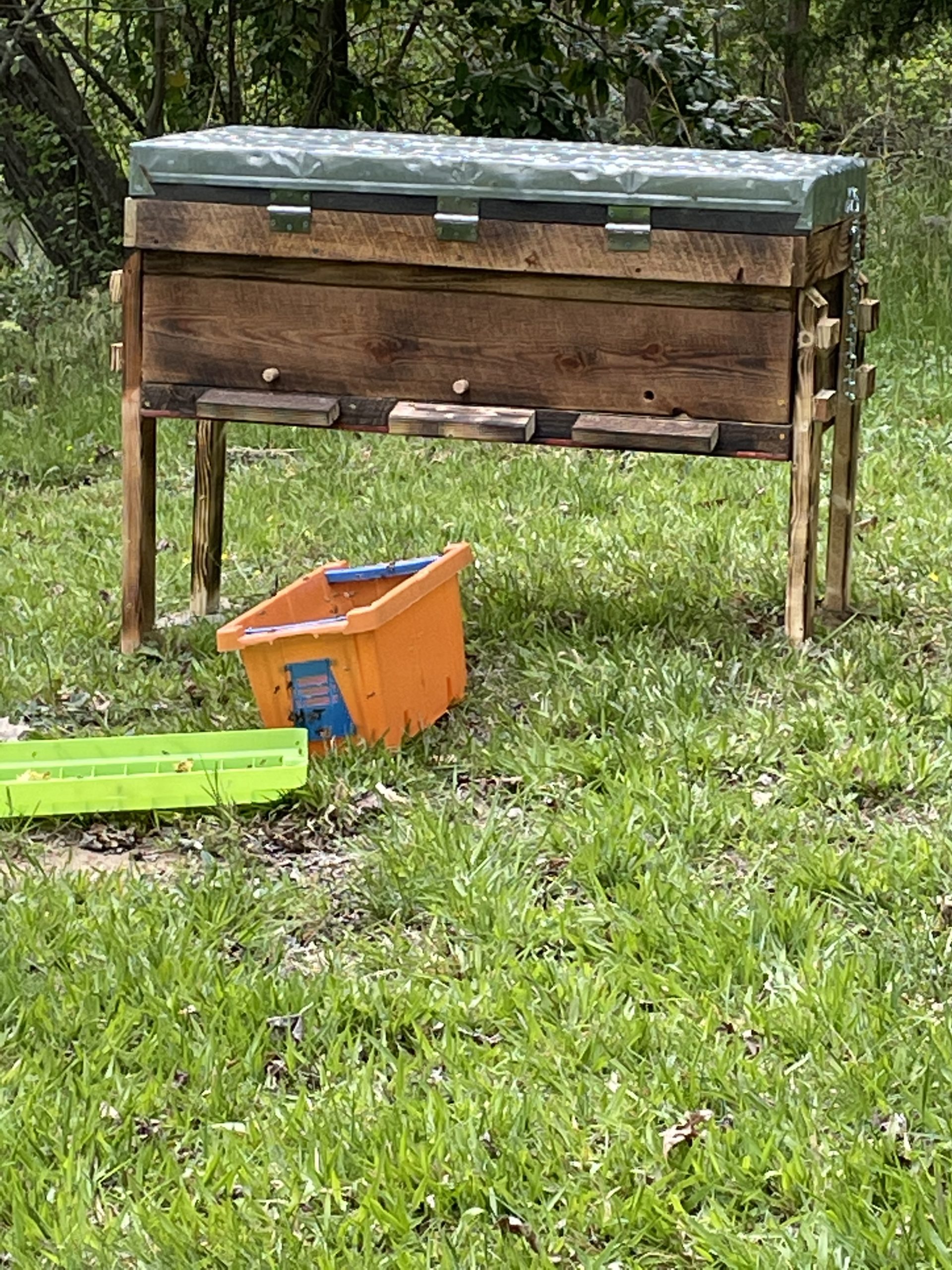 Community: In the Bee Yard with Becca & Morgan – The Bumbling Beekeeper